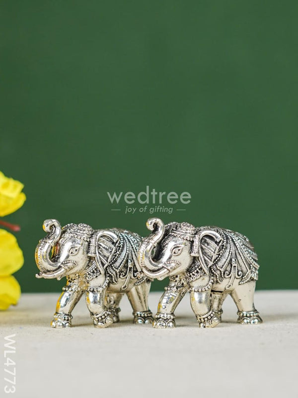 New Arrivals – Wedtree